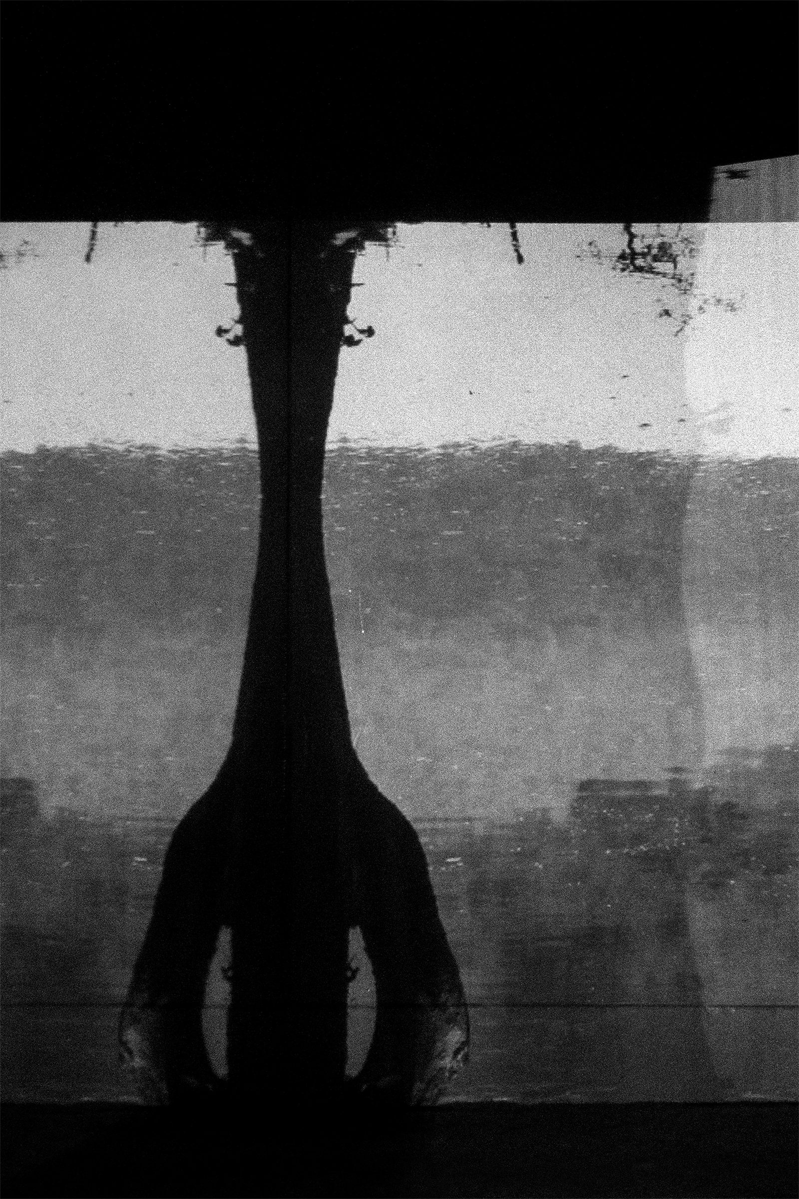 New mind, second-hand frame – HooraMirabzadeh