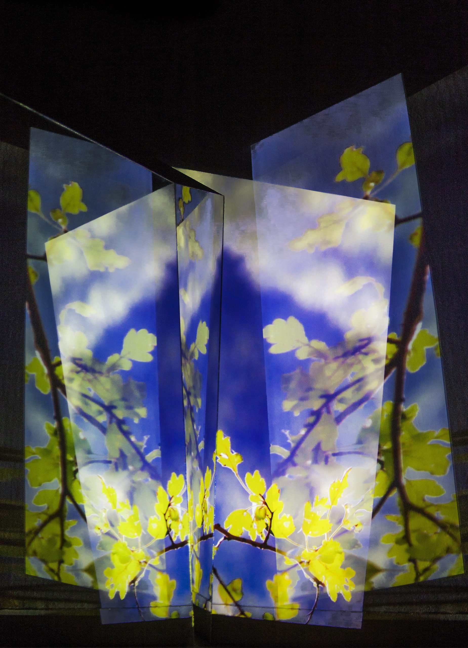 New mind, second-hand frame – HooraMirabzadeh